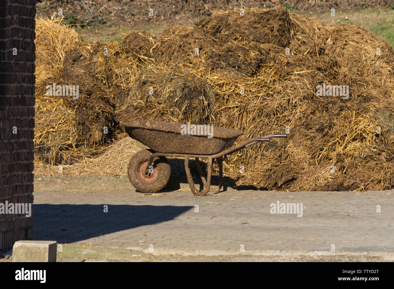 Pile of stinking dung. Manure heap on a farmhouse in Germany Stock ...