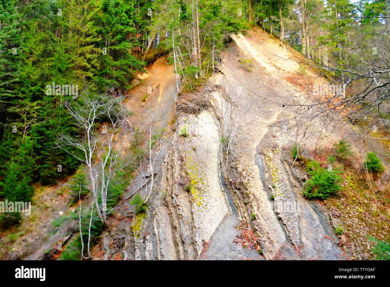 Landscape with precipice and forest Stock Photo - Alamy