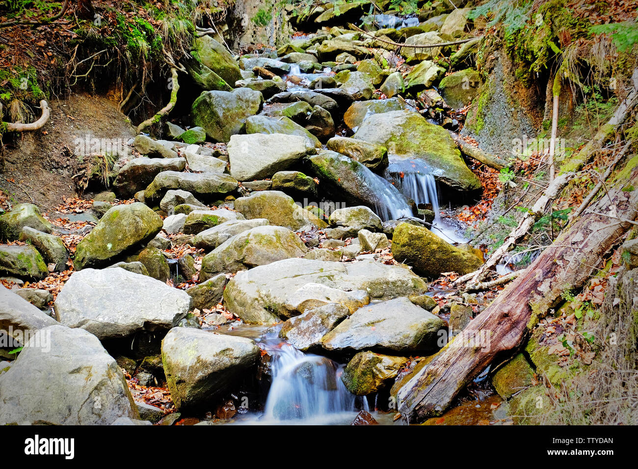 View of mountain stream and big stones Stock Photo - Alamy