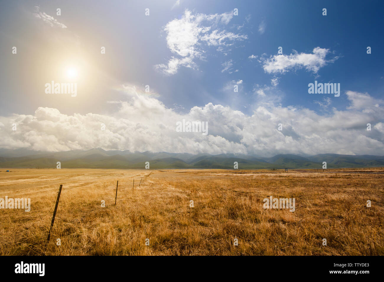 Ruts in pavement hi-res stock photography and images - Alamy