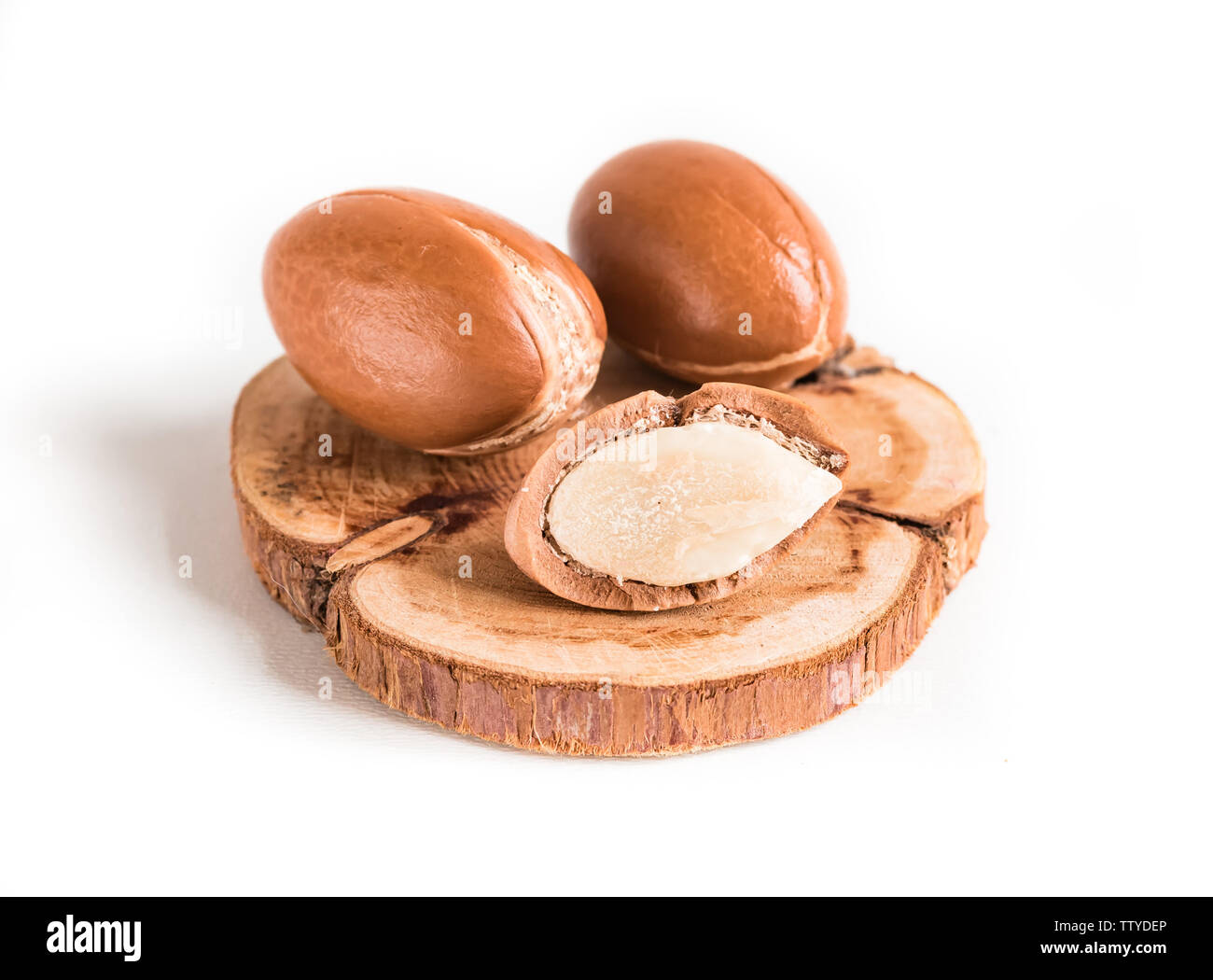 Argan tree seed hi-res stock photography and images - Alamy