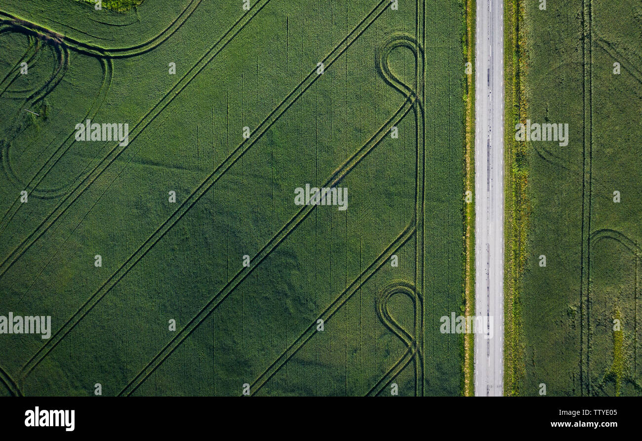 Harvester tracks in a green cereal field, forming patterns. Aerial view ...