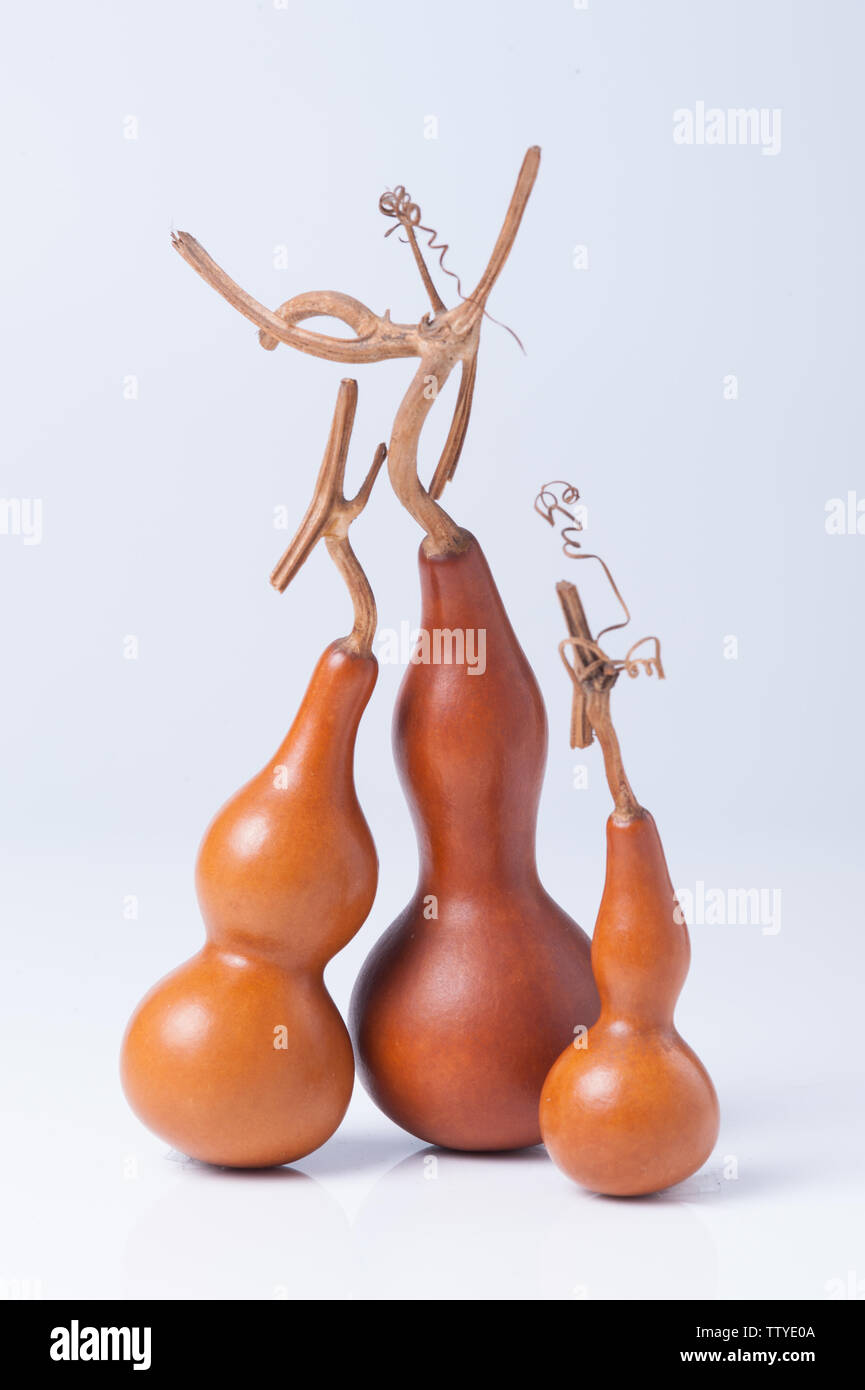 Hand twist gourd hi-res stock photography and images - Alamy