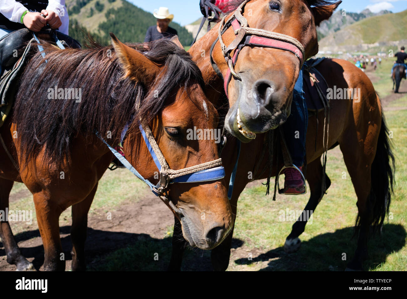 Tianshan Grand Canyon in Urumqi Stock Photo - Alamy