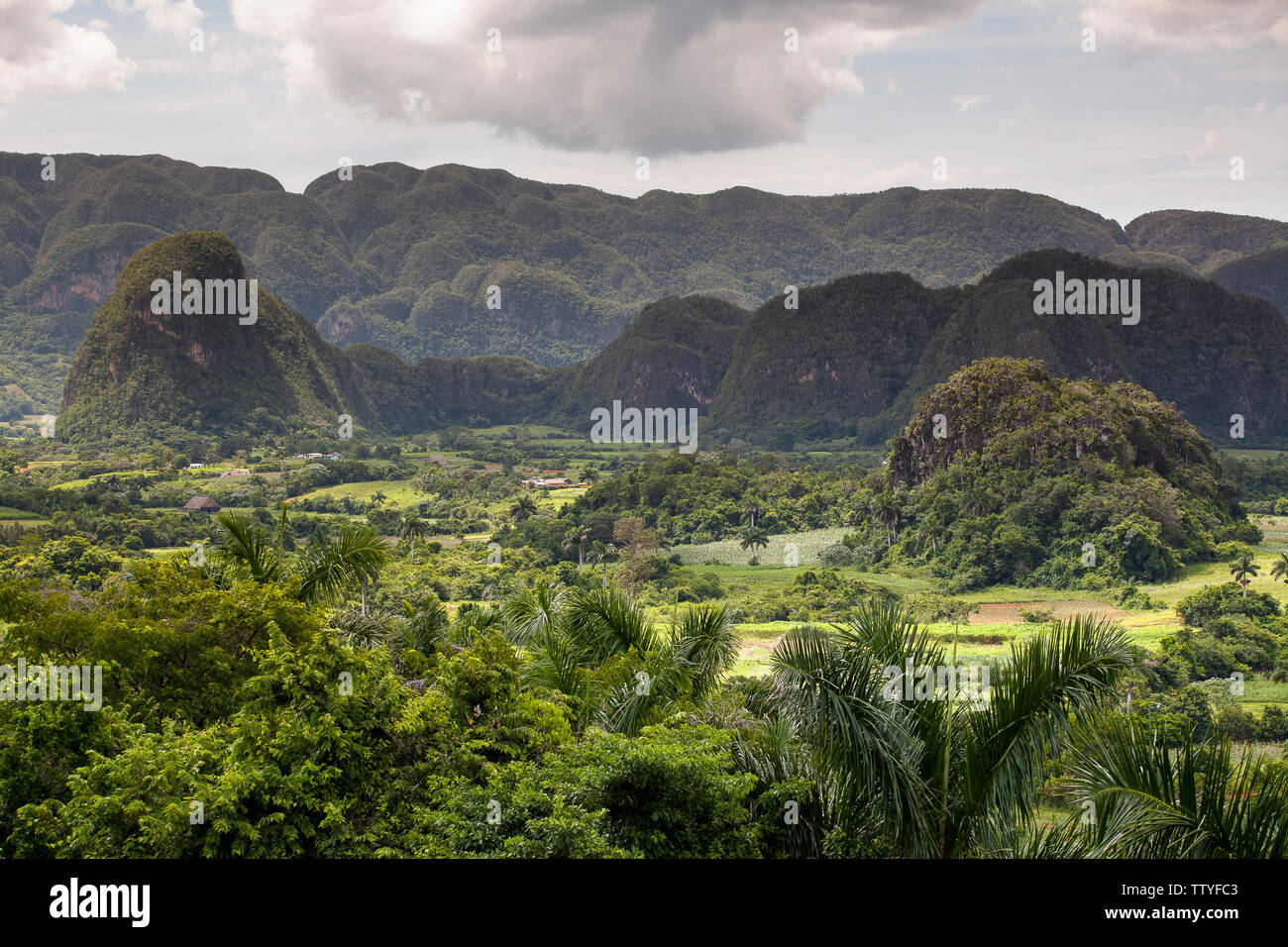 Cuba: mogotes in the Vinales Valley, Pinar del Rio Province Stock Photo ...
