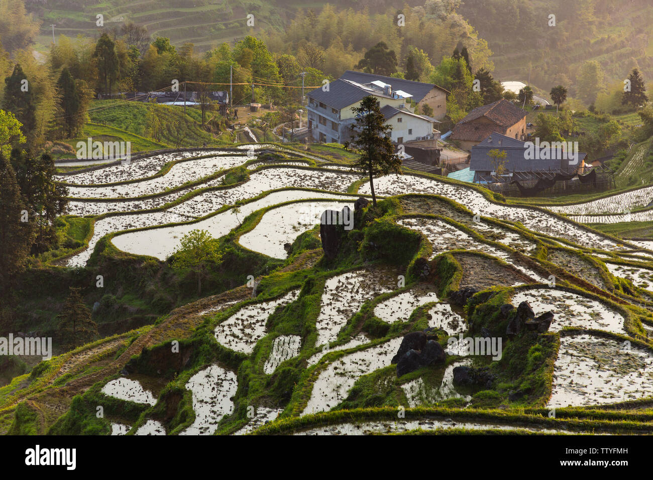 Yunhe hi-res stock photography and images - Alamy