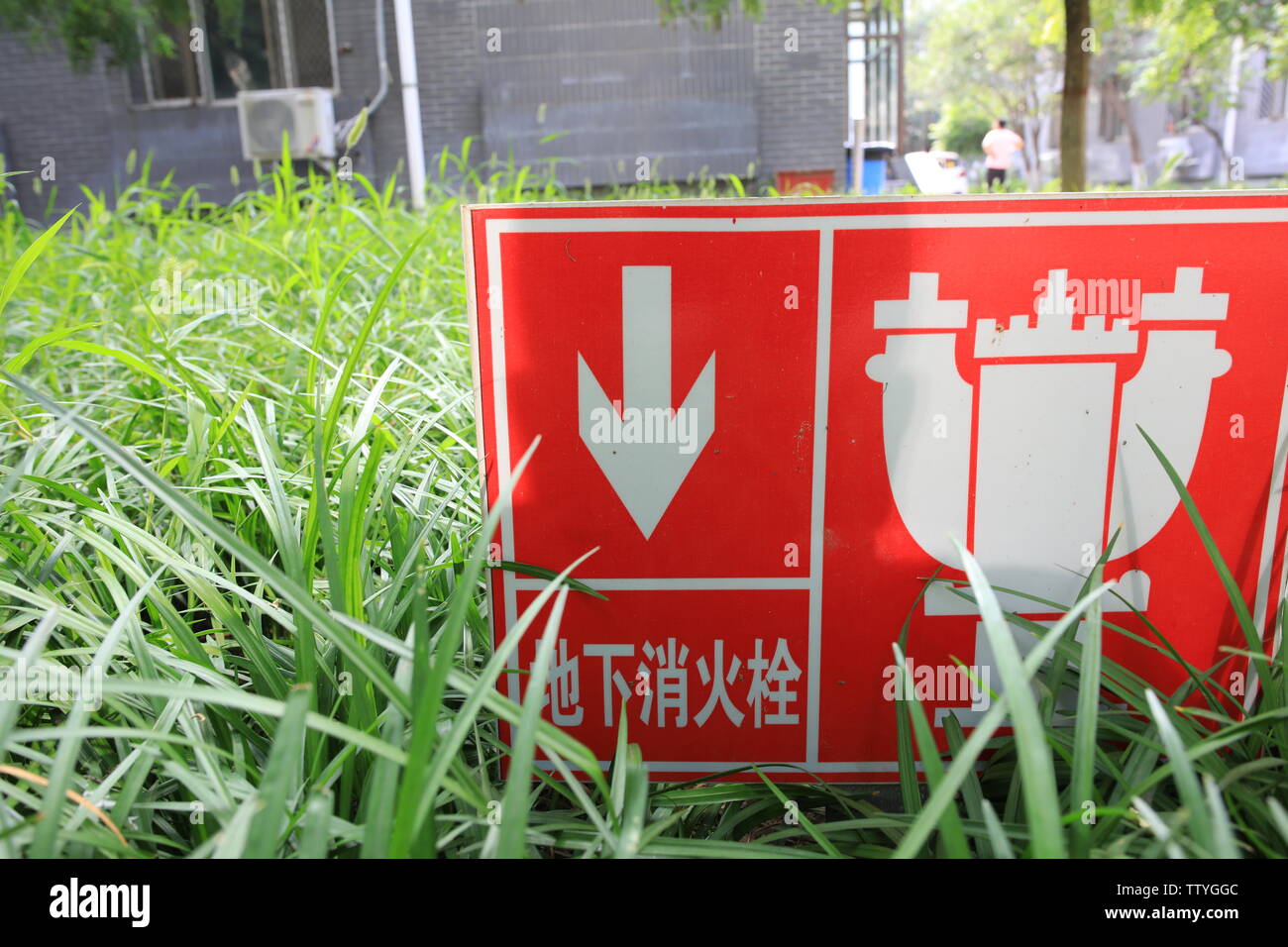 Hydrant flowers hi-res stock photography and images - Alamy