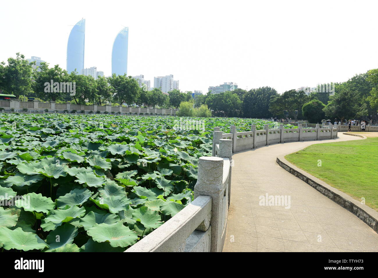 Scenery of lotus pond, Nanputuo Temple, Fujian Stock Photo - Alamy