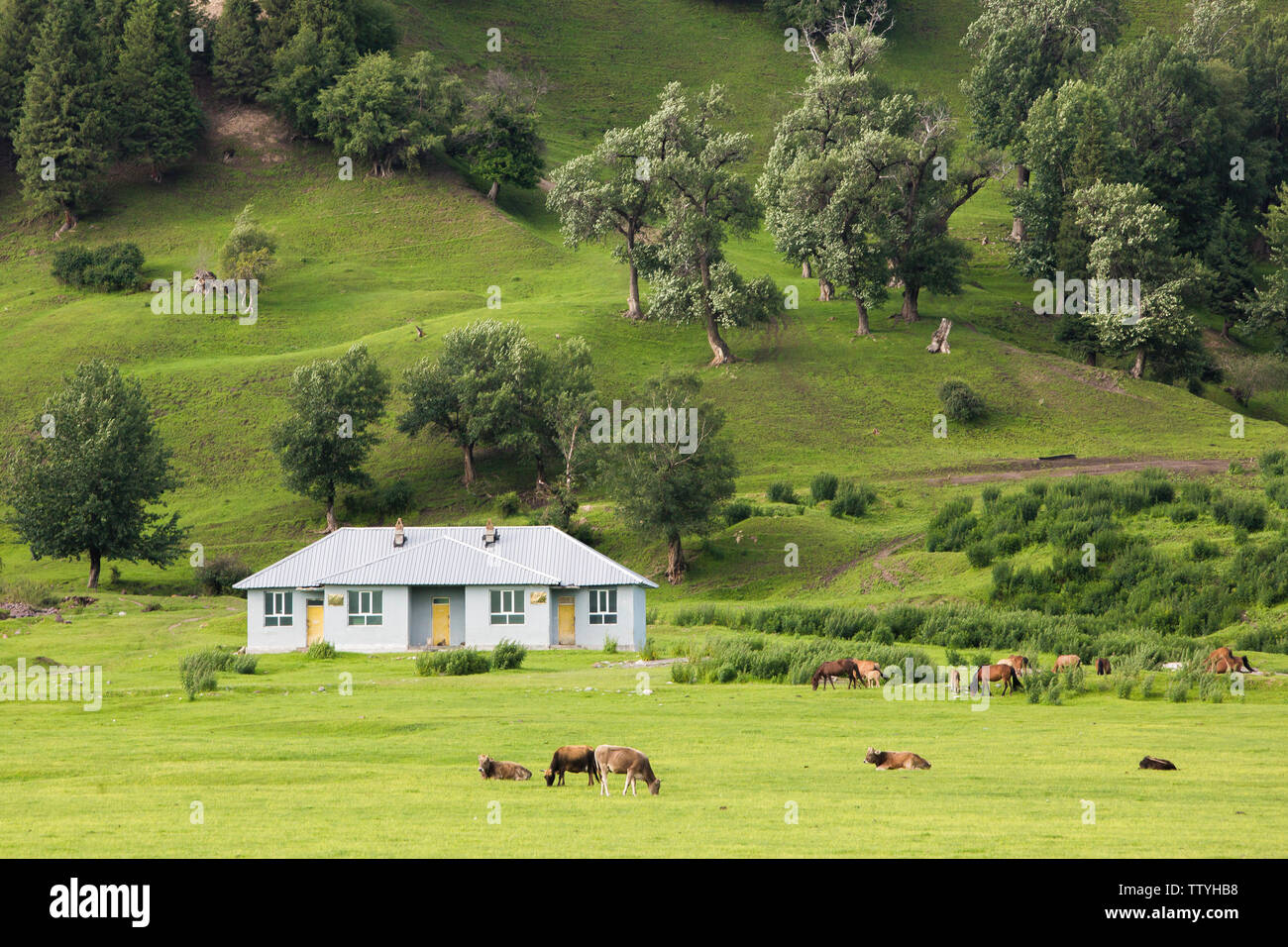 The Narati Prairie, which has a river valley and a mountain prairie ...