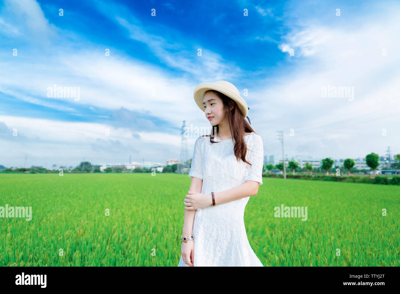 Japanese rice paddy scenery hi-res stock photography and images - Alamy