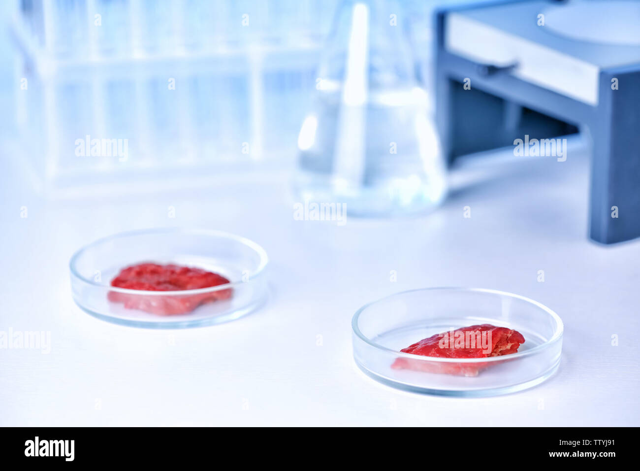 Meat samples in Petri dishes on table at laboratory Stock Photo - Alamy