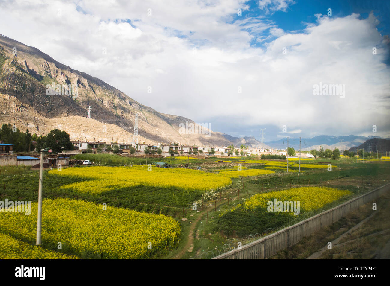 The pastoral scenery on the outskirts of Lhasa Stock Photo - Alamy