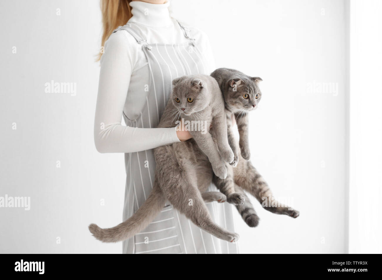 Funny cats with owner hi-res stock photography and images - Alamy