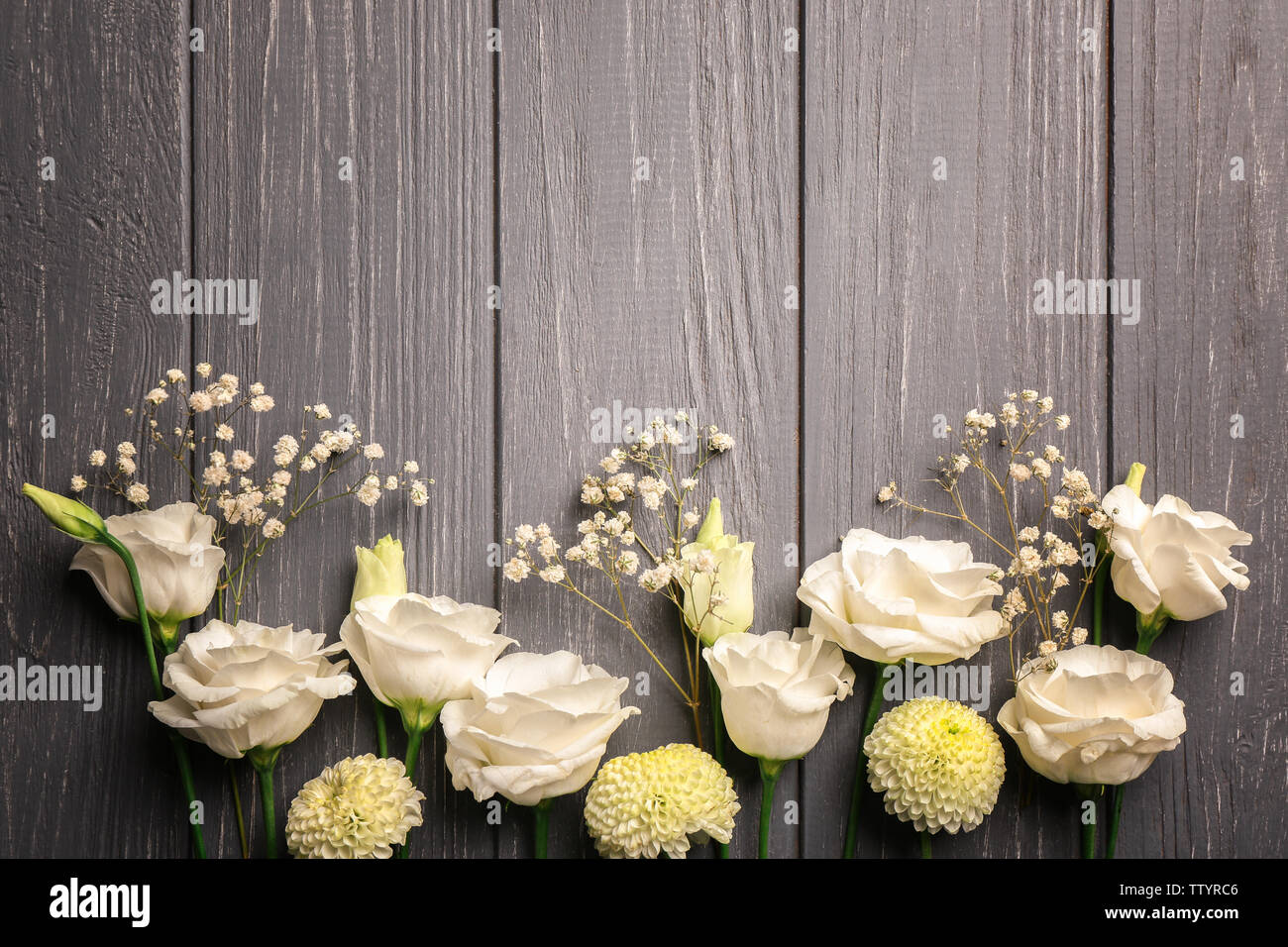 Eustoma gypsophila hi-res stock photography and images - Alamy