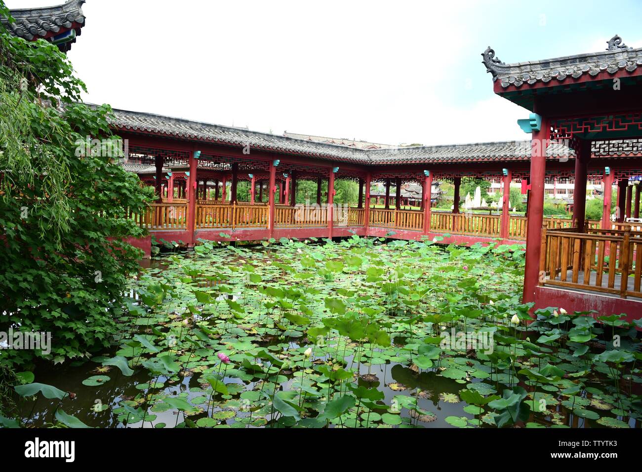 Antique architecture and lotus pavilion lotus Stock Photo - Alamy