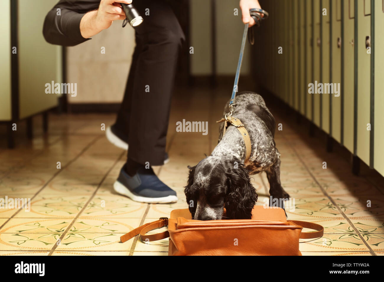 Luggage tracker hi-res stock photography and images - Alamy