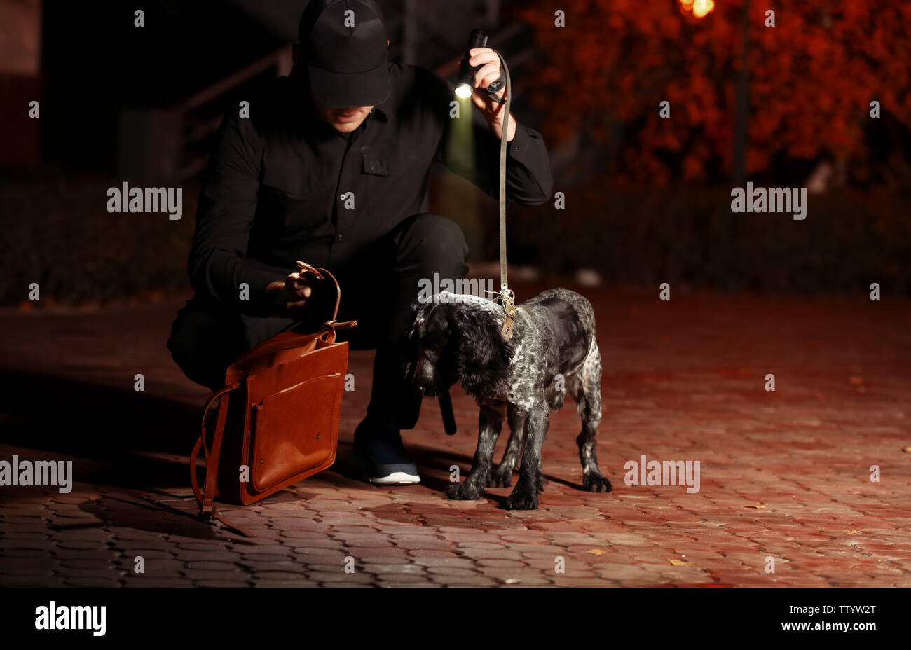 Dog looking for drugs at street Stock Photo - Alamy