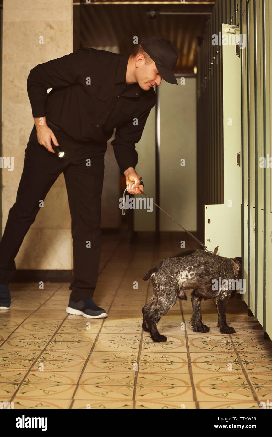 Dog looking for drugs in luggage storage Stock Photo - Alamy