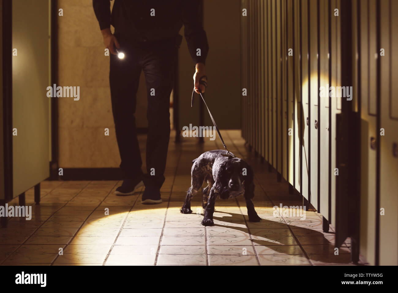 Dog looking for drugs in luggage storage Stock Photo - Alamy