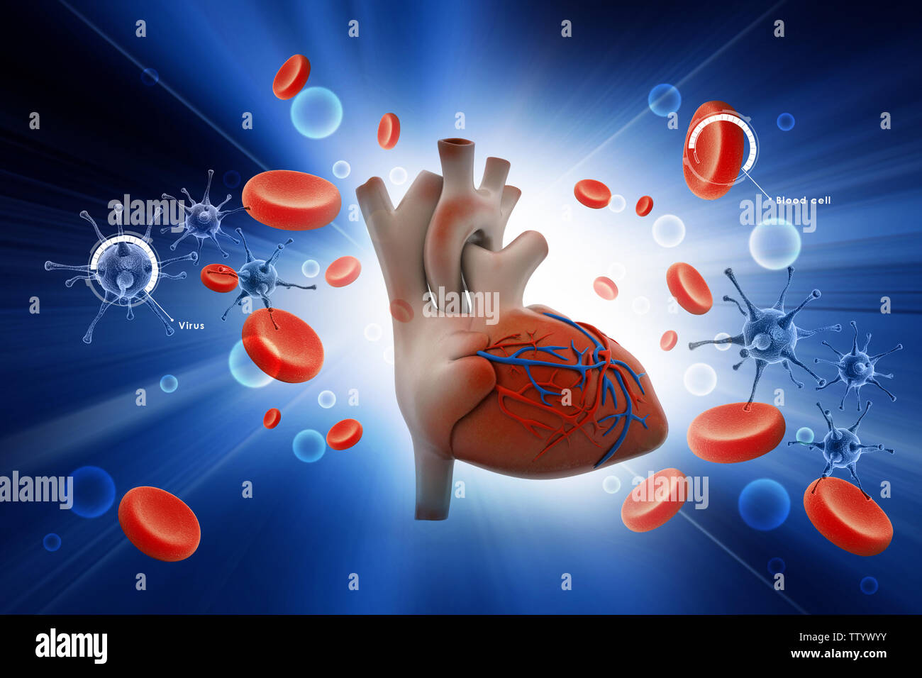 Cerebral cortex scan hi-res stock photography and images - Alamy