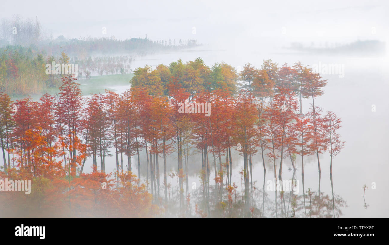 Ikei hi-res stock photography and images - Alamy