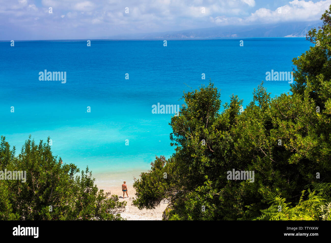 Green trees by the sea hi-res stock photography and images - Alamy