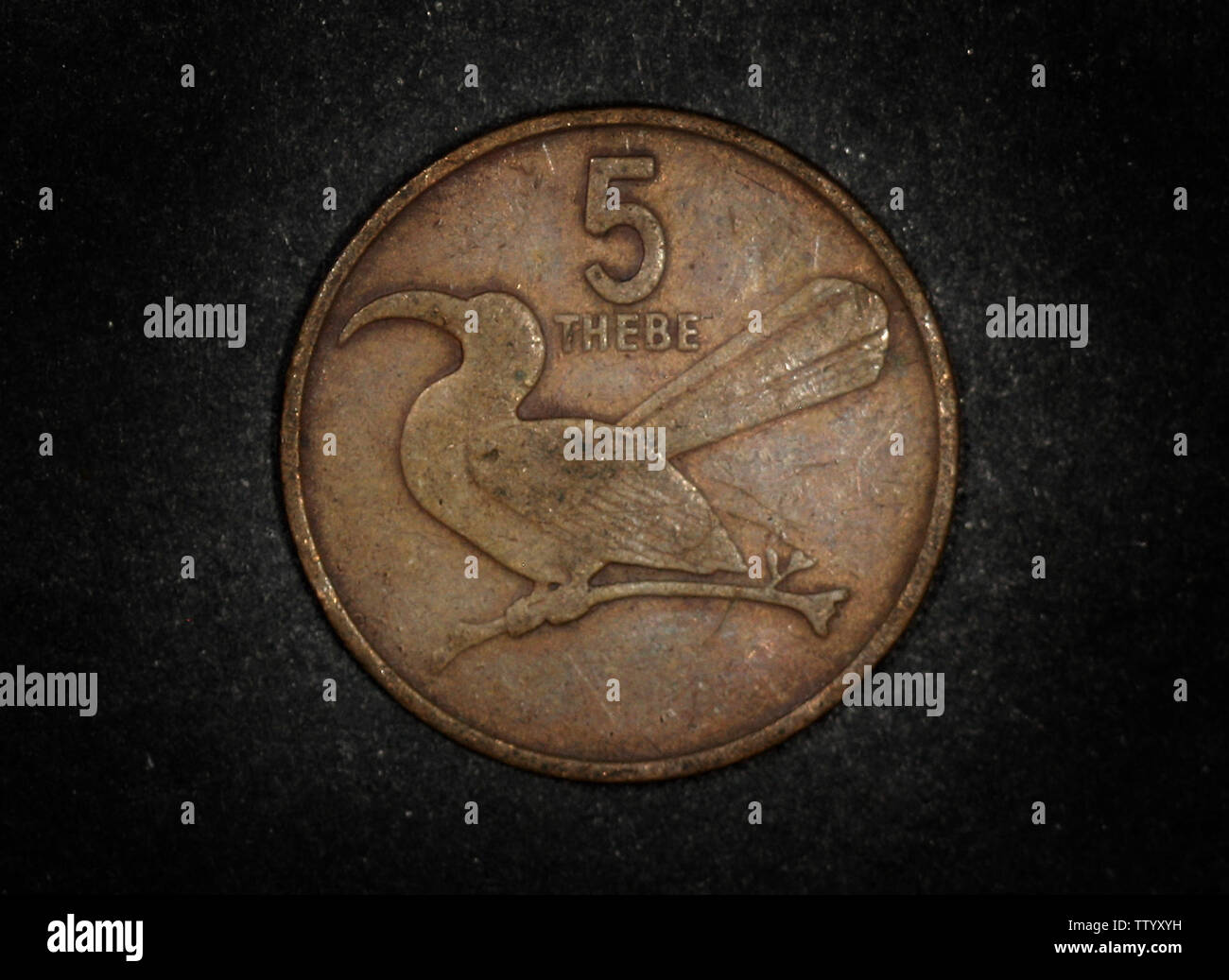 Botswana 5 thebe, 1980 Stock Photo - Alamy