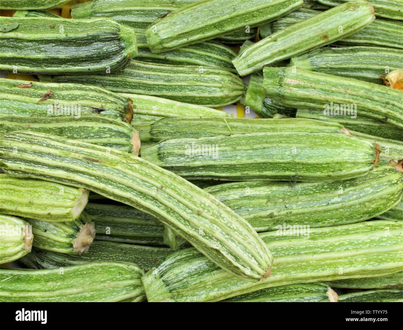 Zucchini in a counter in an outdoor market Stock Photo - Alamy