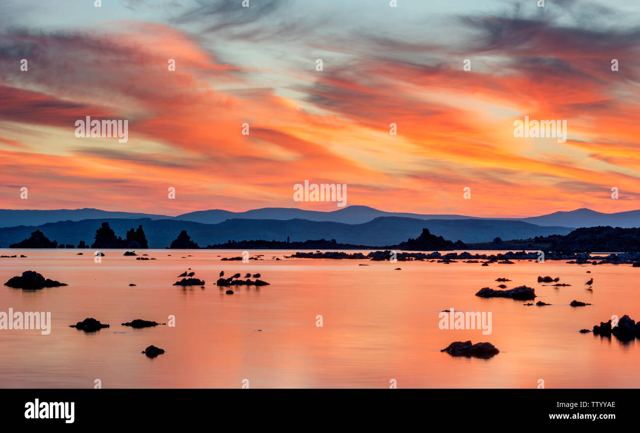 Mona lake sunrise Stock Photo - Alamy