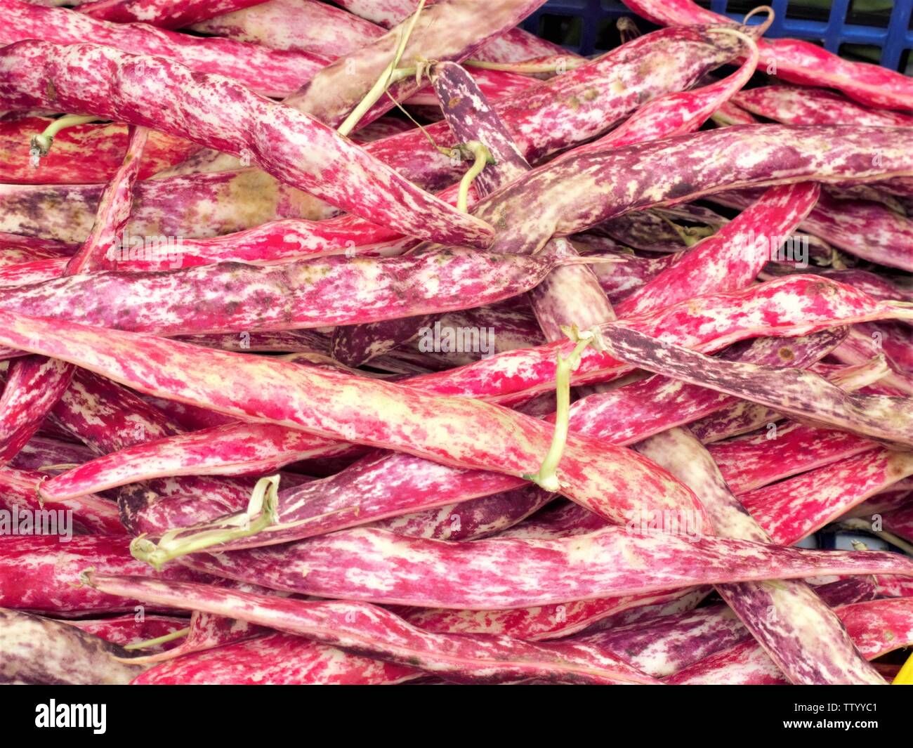 Green beans at a counter in an outdoor market Stock Photo - Alamy