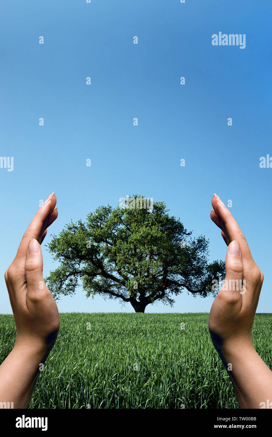 Visionary and concepts hi-res stock photography and images - Alamy