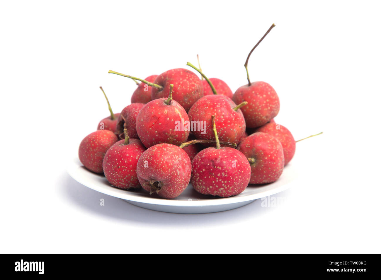 Close up fresh hawthorn Cut Out Stock Images & Pictures - Alamy