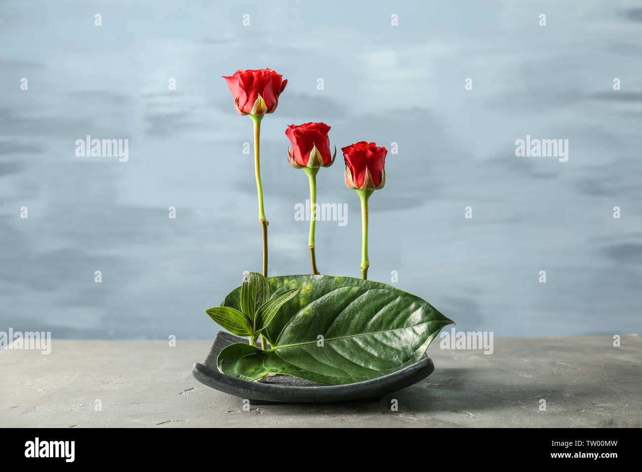 Flower arrangement on a color background Stock Photo - Alamy