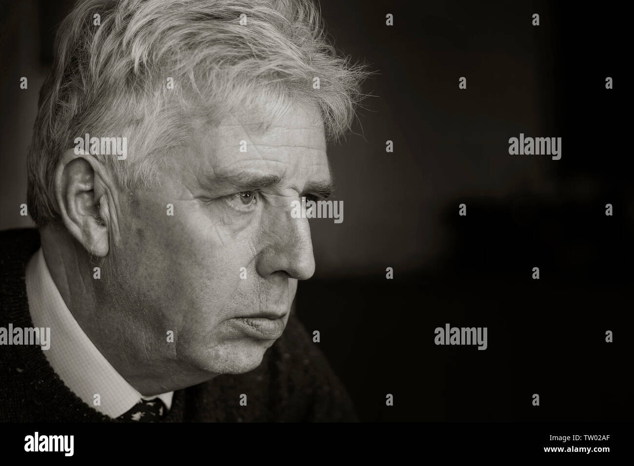 Lord lieutenant of gloucestershire hi-res stock photography and images ...