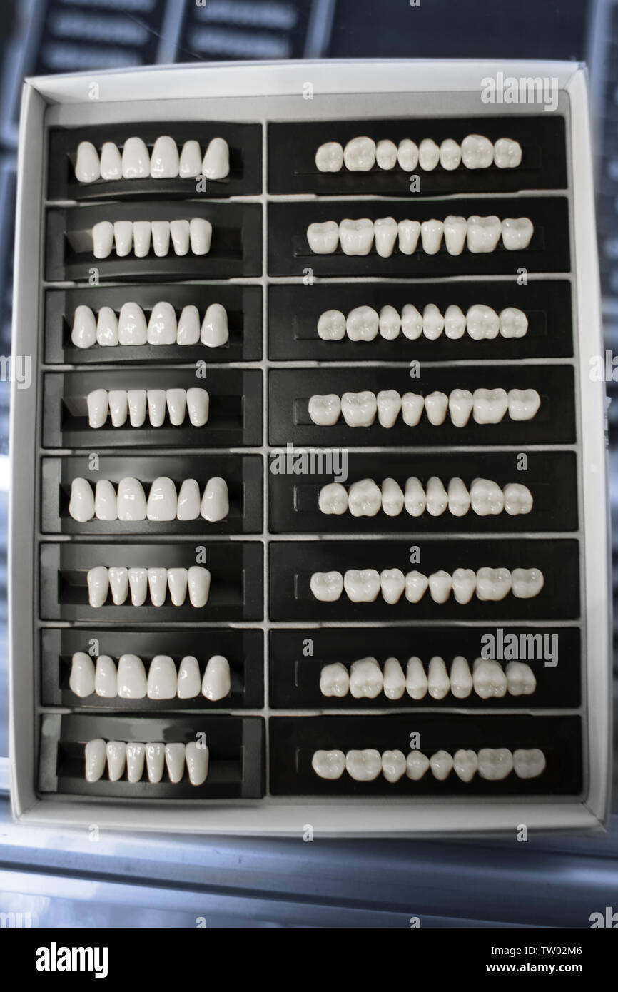 Set of artificial teeth on stand Stock Photo - Alamy