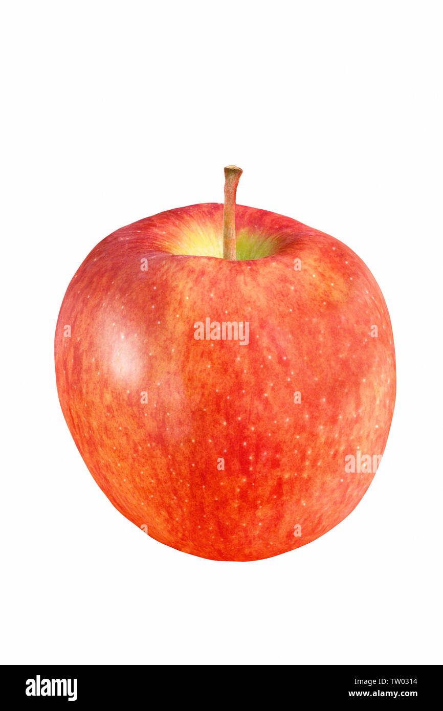 Apple stems Cut Out Stock Images & Pictures - Alamy