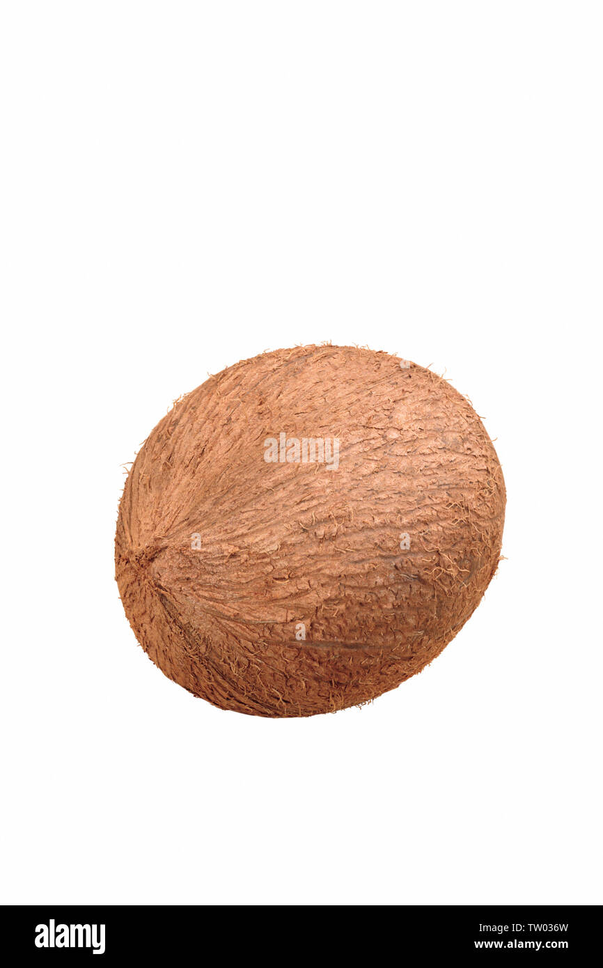 Close up of a coconut Stock Photo - Alamy