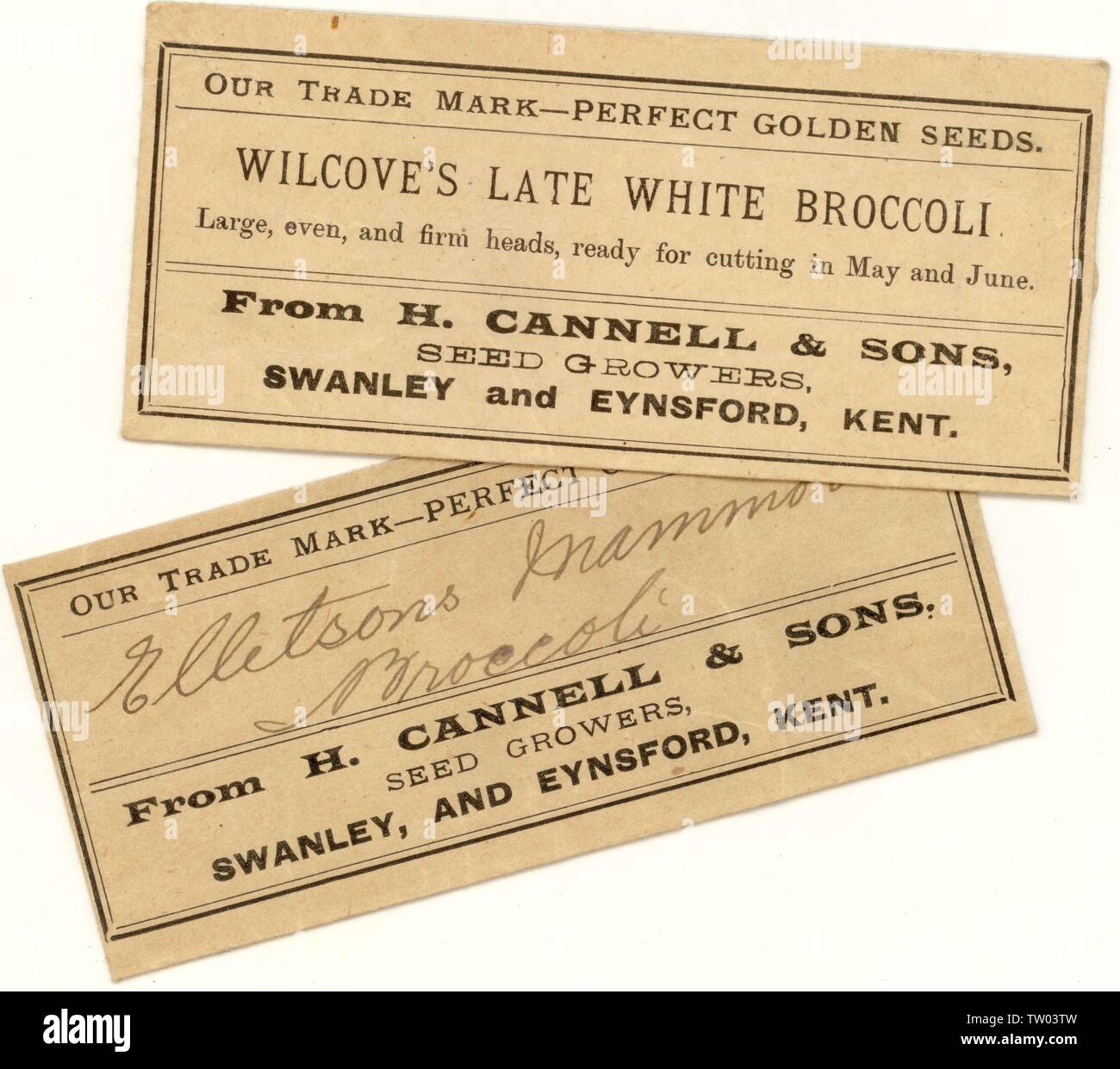 Early 1900's packet of Broccoli seeds, Elletson's Mammoth and Wilcove's ...