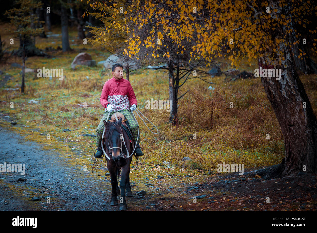 Bai haba village scenery in northern Xinjiang Stock Photo - Alamy