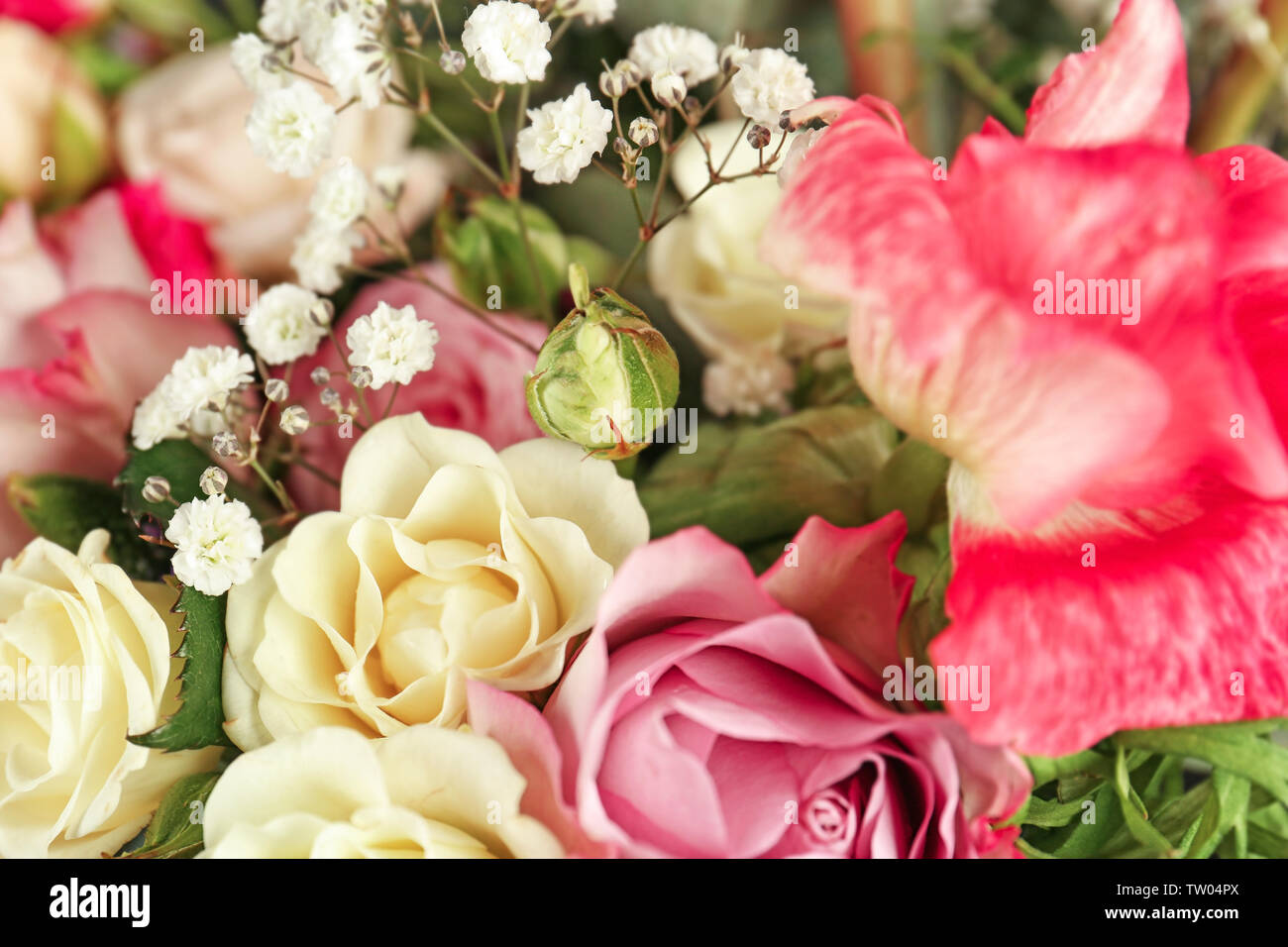 Beautiful fresh flowers background Stock Photo - Alamy