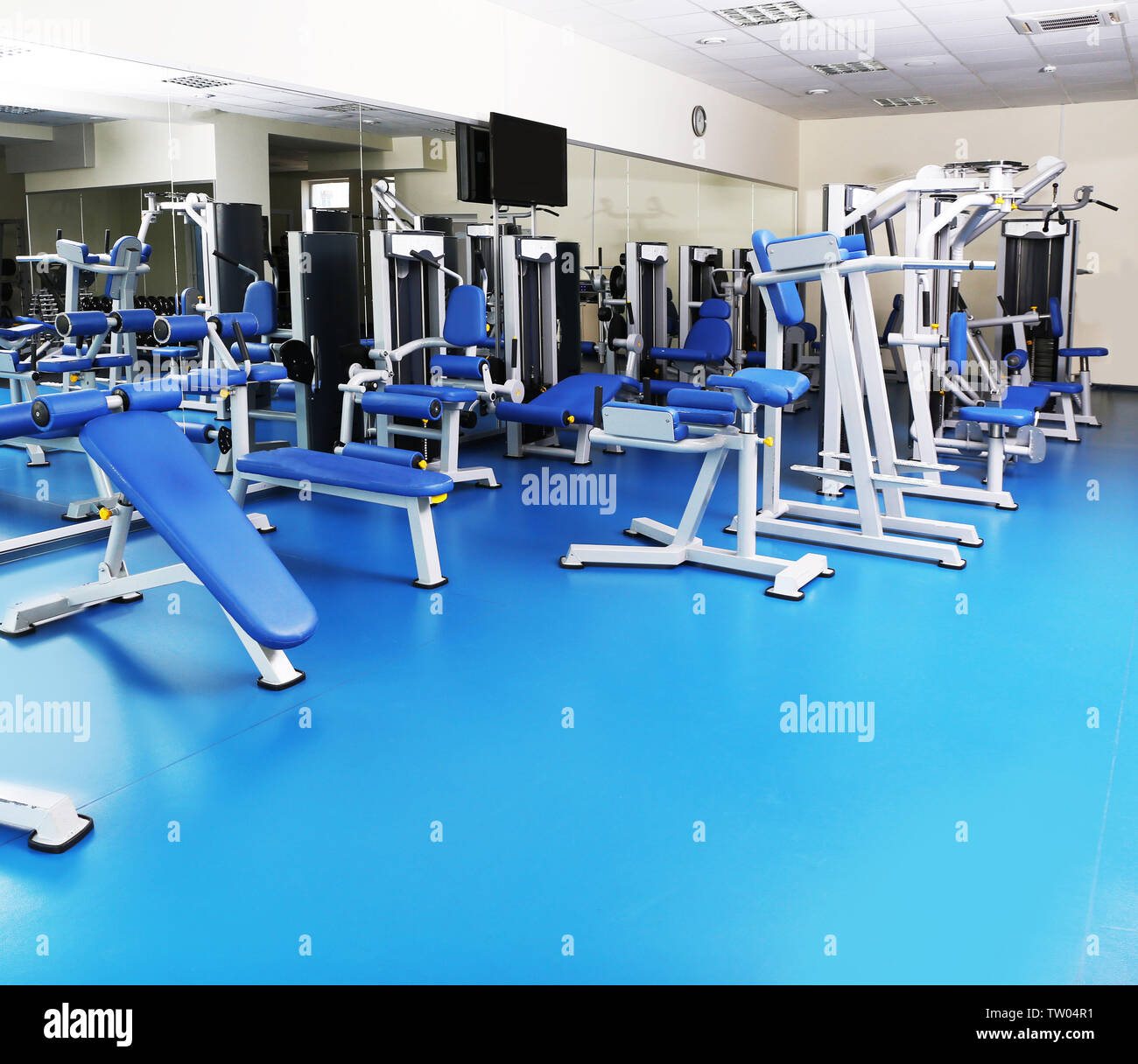 Interior of modern gym Stock Photo - Alamy