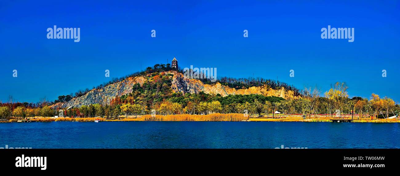 Scenery of Chenshan Botanical Garden in Shanghai Stock Photo - Alamy
