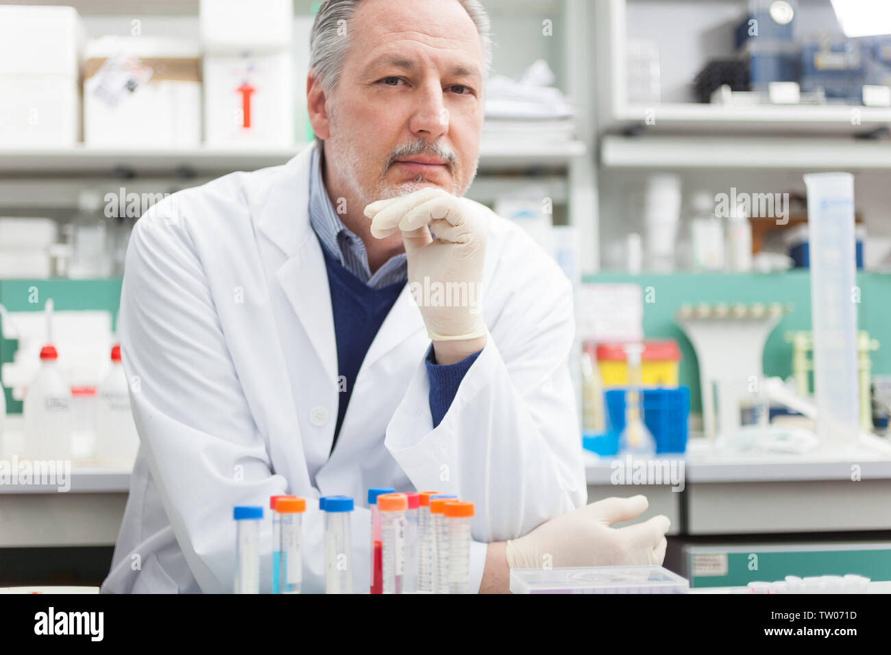 Scientist at work in a laboratory Stock Photo - Alamy