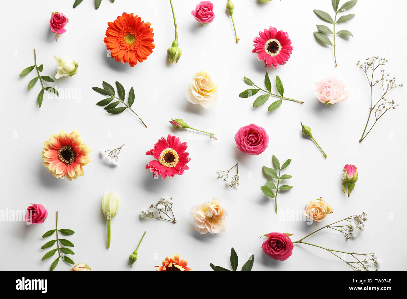 Flat lay of fresh flowers on white background Stock Photo - Alamy