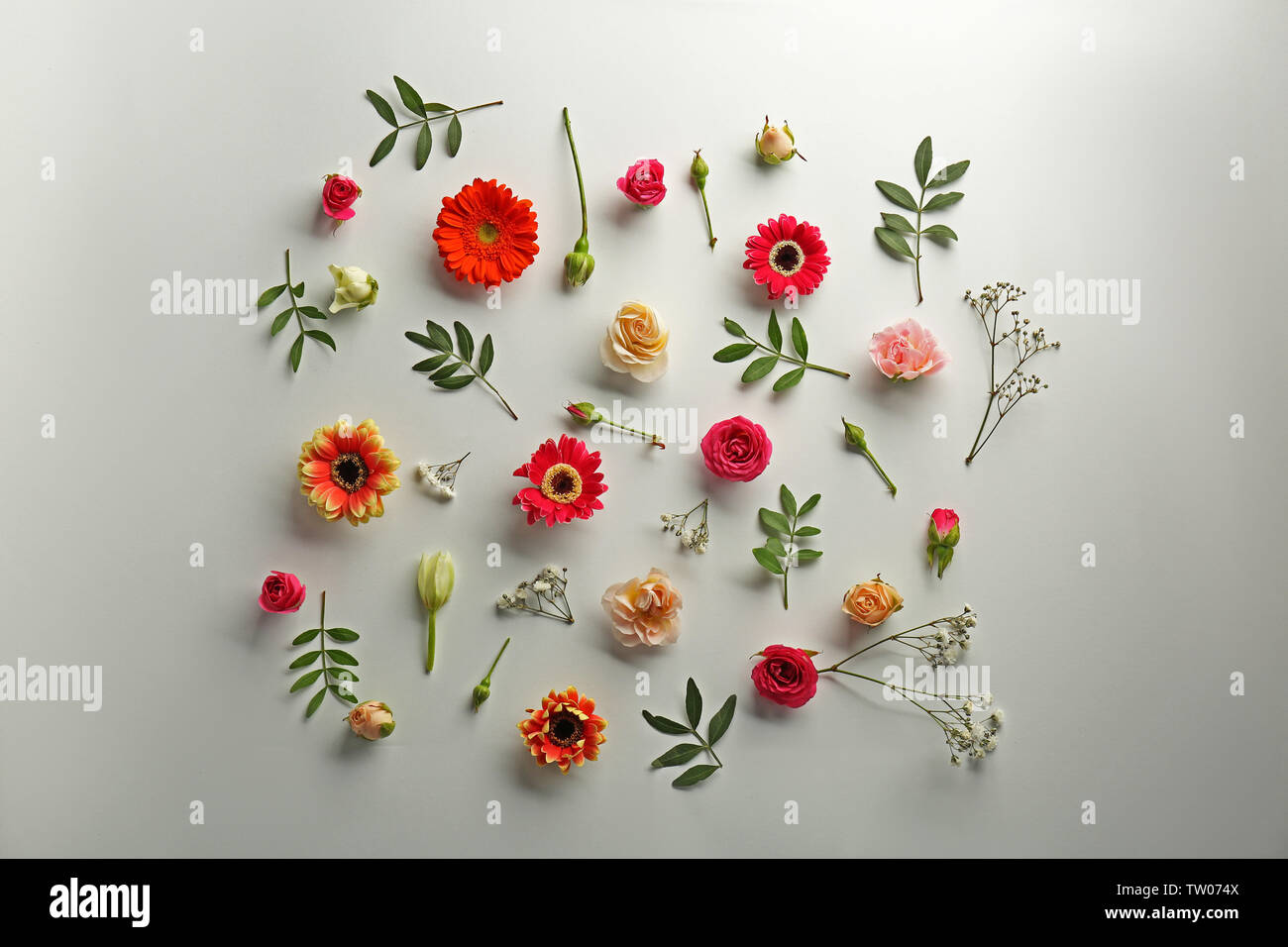 Flat lay of fresh flowers on white background Stock Photo - Alamy