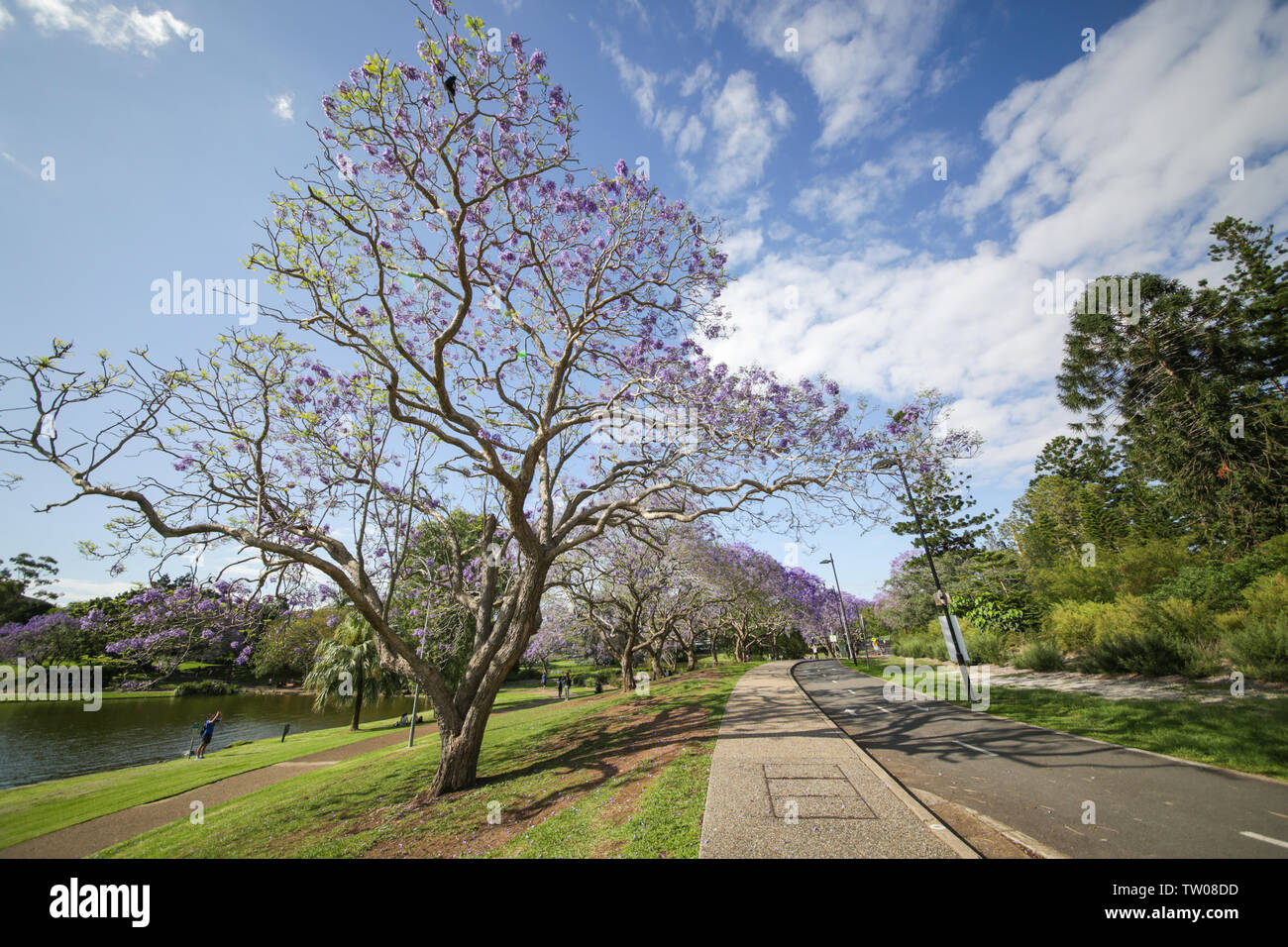 Campus guide hi-res stock photography and images - Alamy