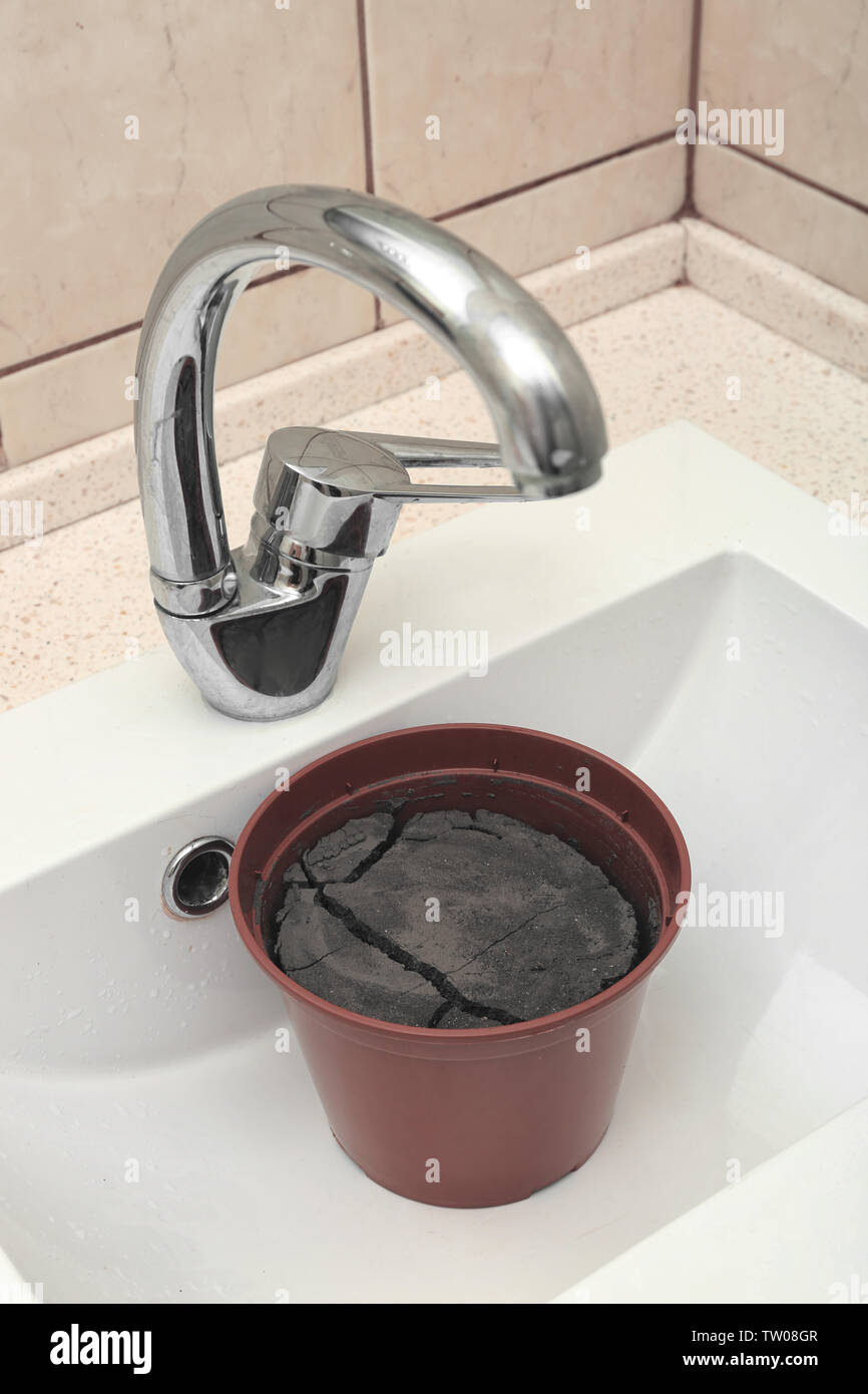 Water shortage concept. Pot with dry ground in white sink Stock Photo ...