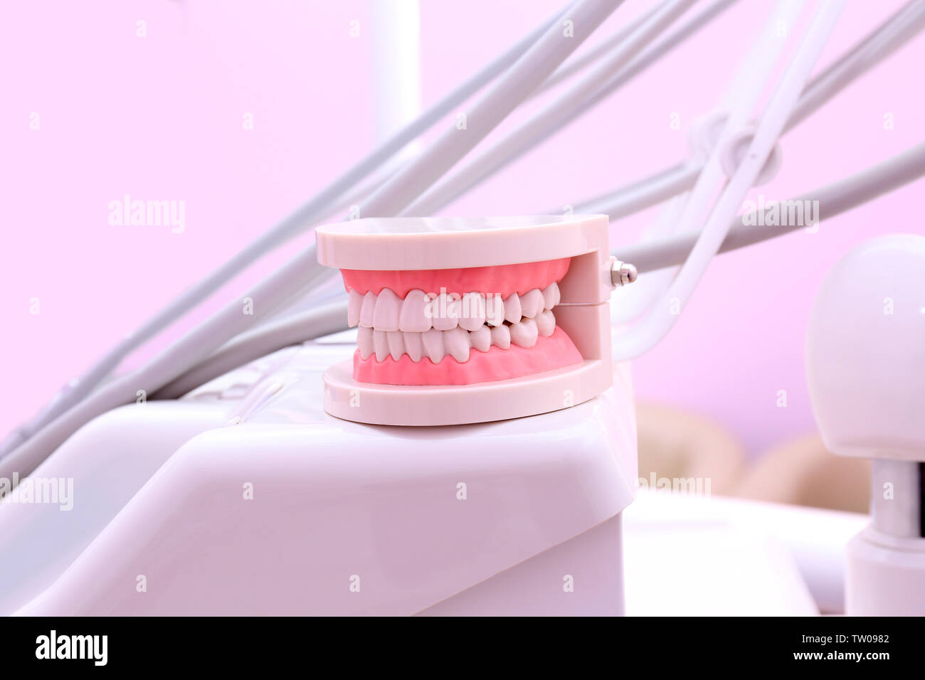 Dental jaw model in modern clinic Stock Photo - Alamy