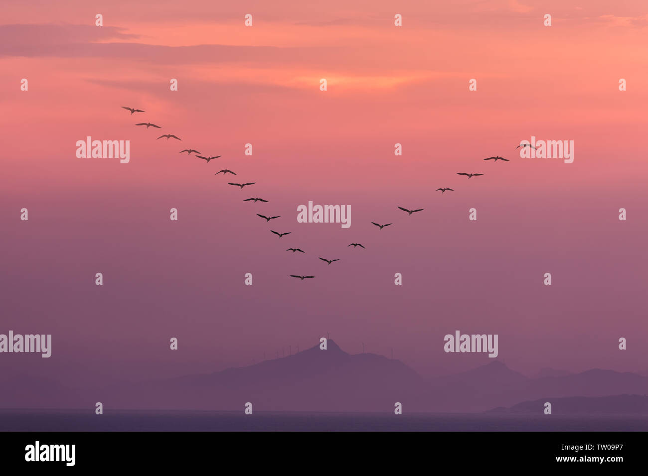 Far mountains and returning birds Stock Photo - Alamy