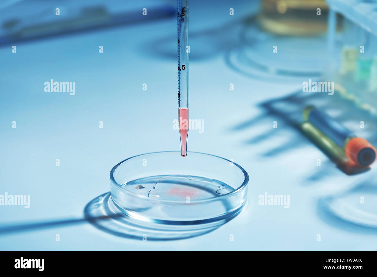 Scientist dropping a sample into a Petri dish Stock Photo - Alamy